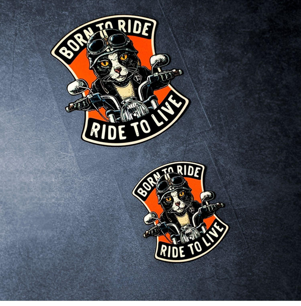 "BORN TO RIDE" Sticker – Bean's Moto Booth